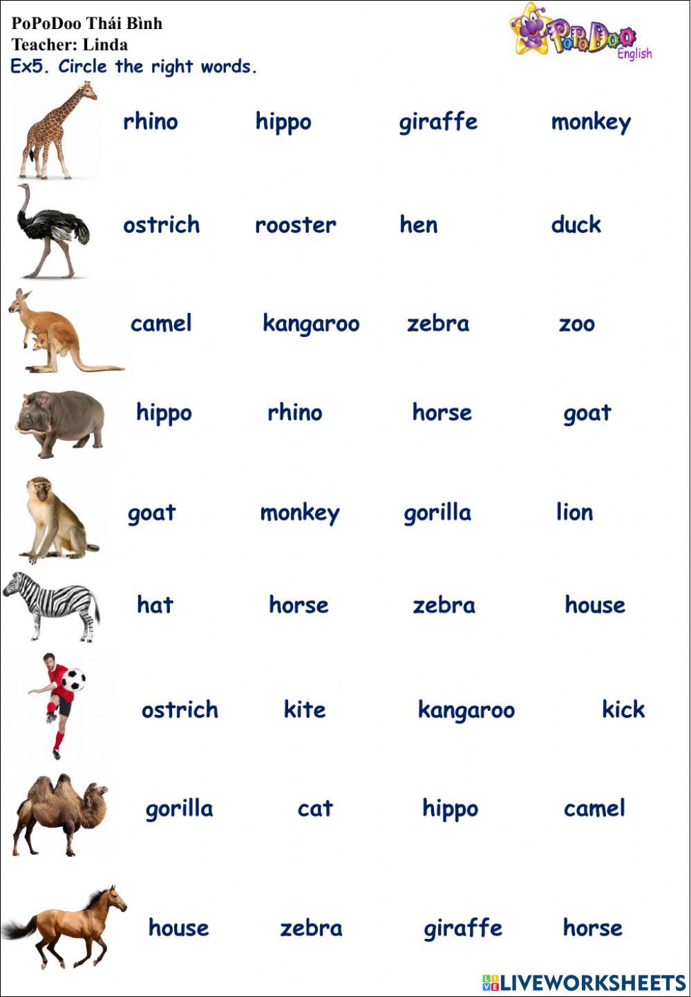 Test PSE B2: Zoo online exercise for | Live Worksheets