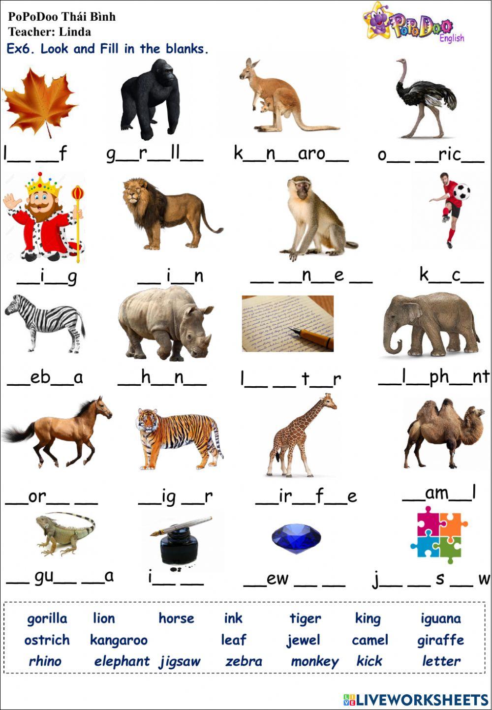 Test PSE B2: Zoo online exercise for | Live Worksheets