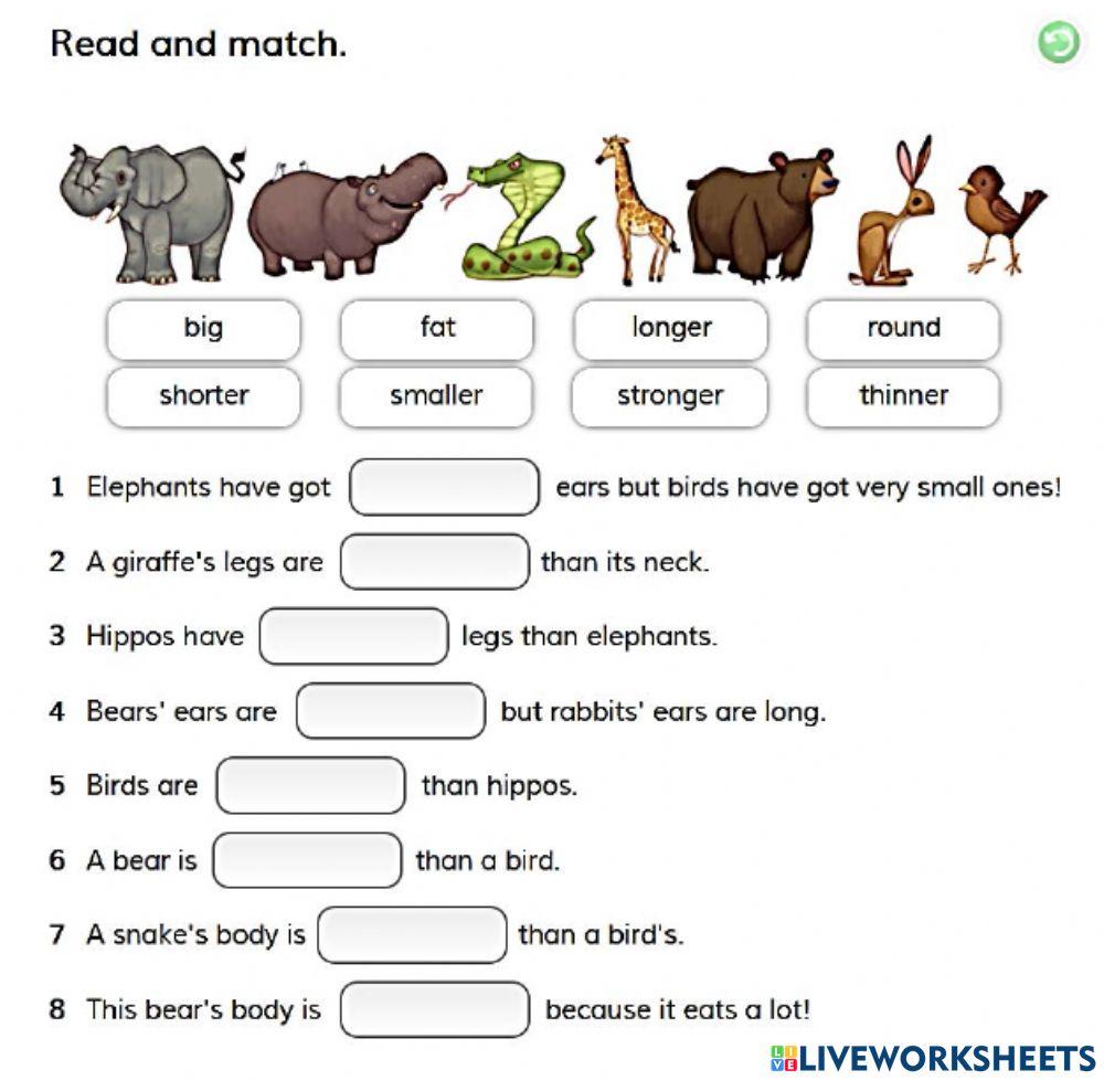 Fun for Movers (Practice Test 3) 2756414 | Aeint | Live