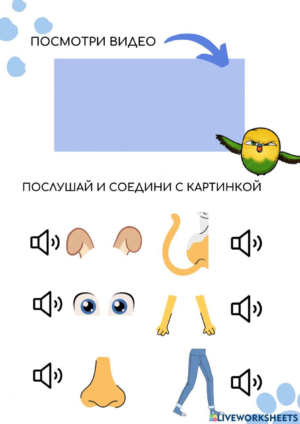 English secret life 4 worksheet | Live Worksheets