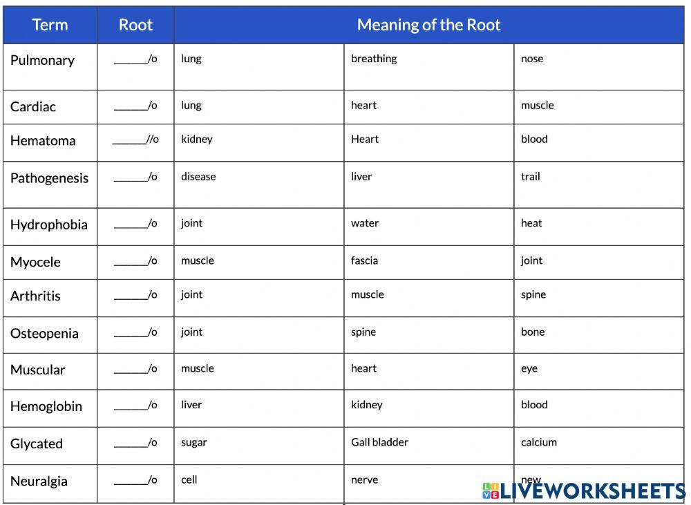 1902484 | Practice with Roots | Nicole Nelson