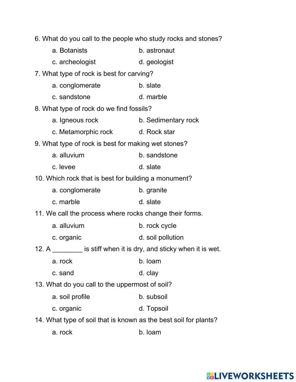 P4 SCIENCE FINAL LIVEWORKSHEET online exercise for | Live Worksheets