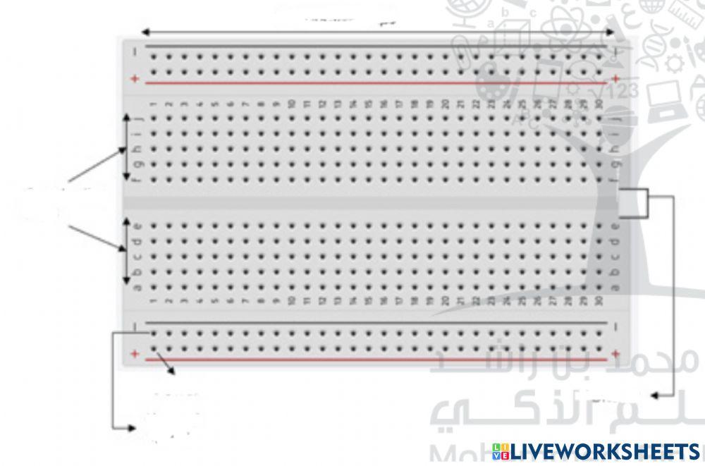 Dd free exercise | Live Worksheets
