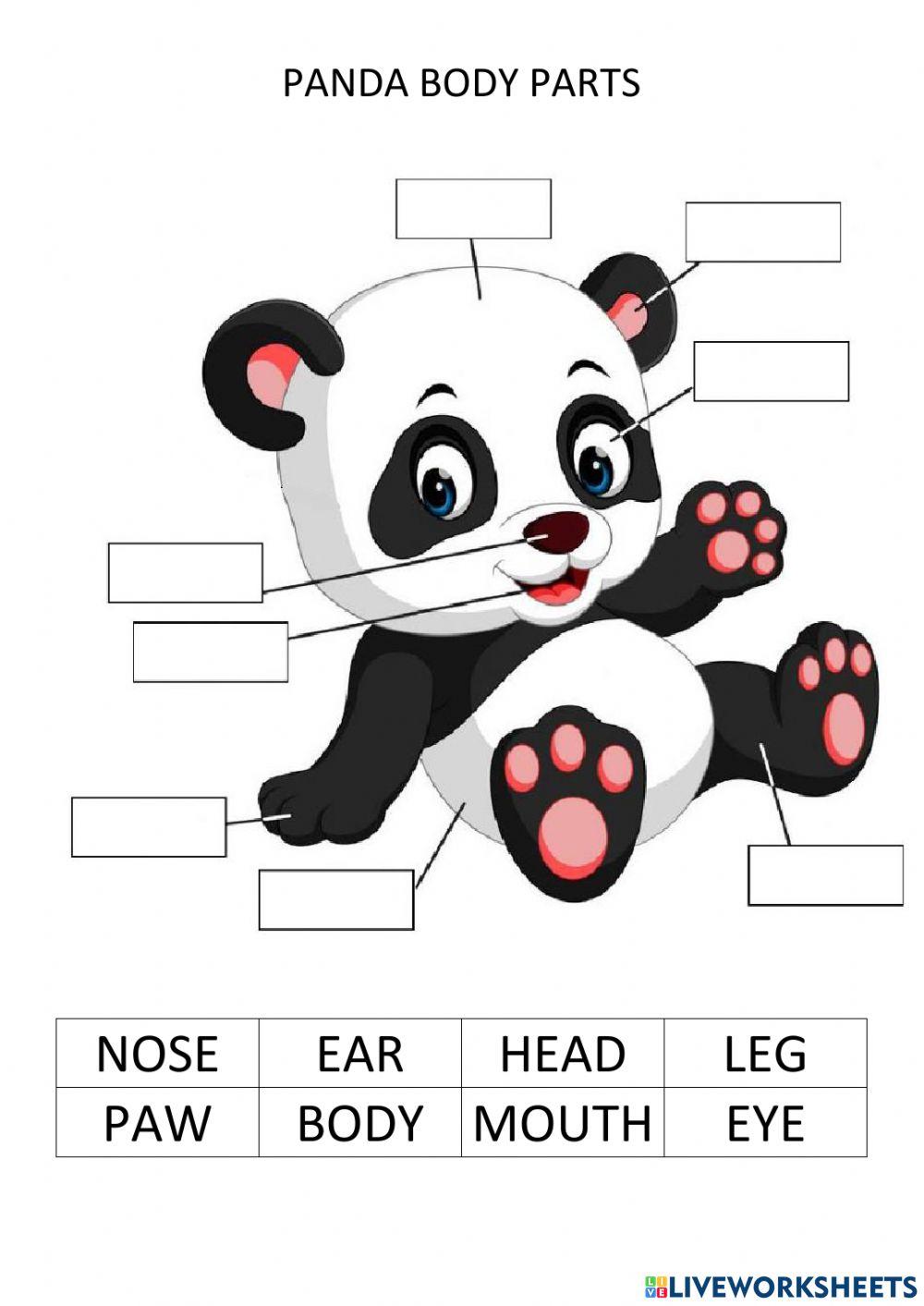 1903717 | Panda body parts | jennie51 | LiveWorksheets