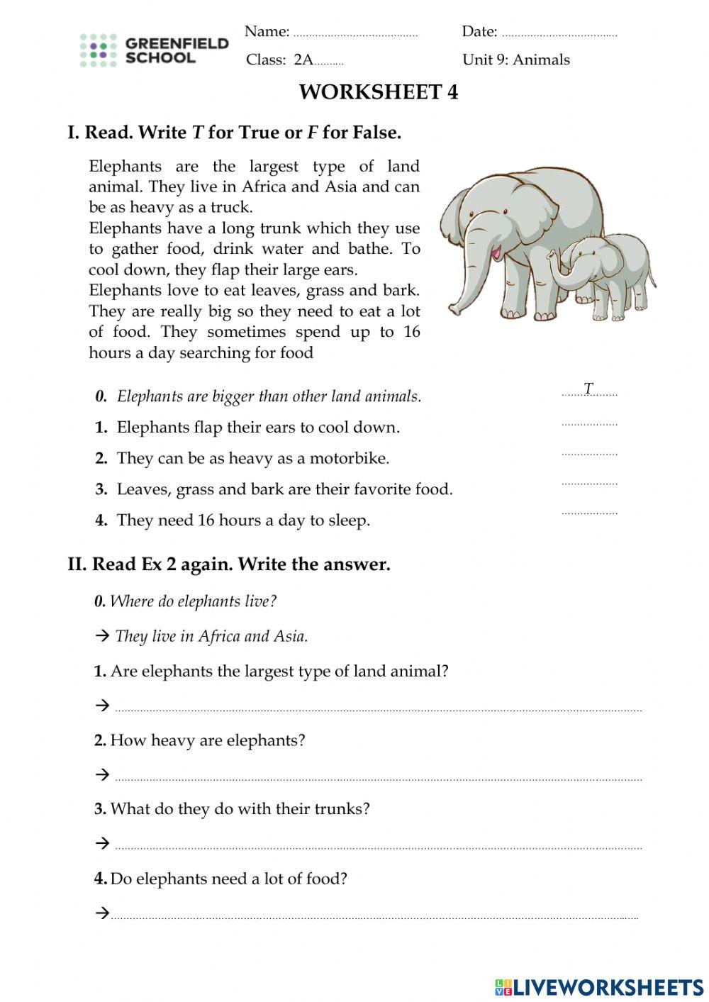 elephant reading comprehension