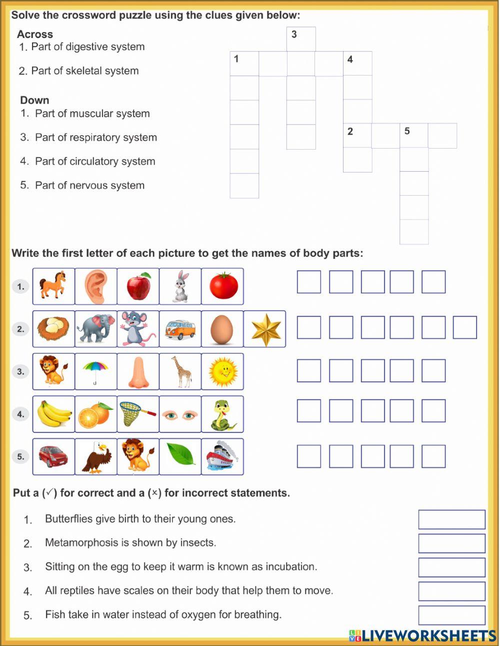 4TH CLASS SCIEN Free Interactive Worksheets 6841808 4th-class-scien-free-interactive-worksheets-6841808