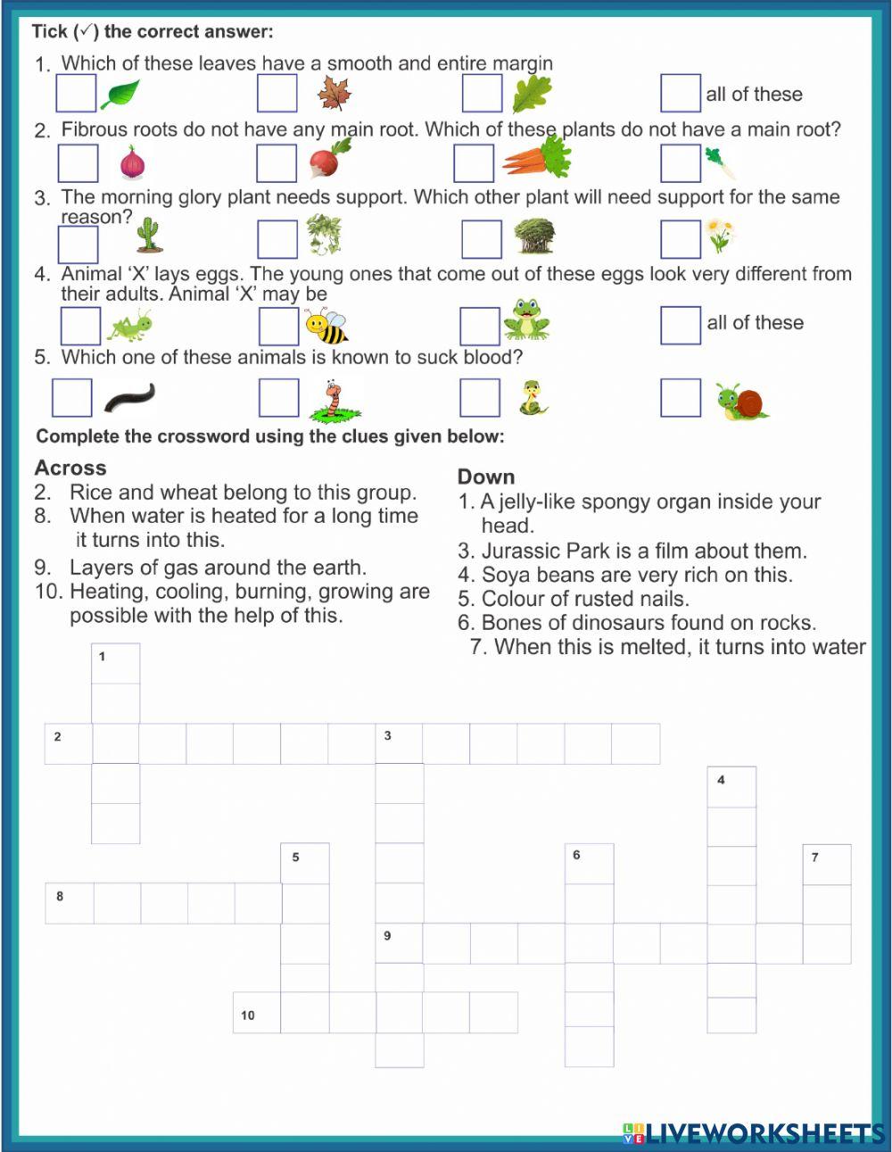 4TH CLASS SCIENCE QUESTION PAPER online exercise for | Live Worksheets