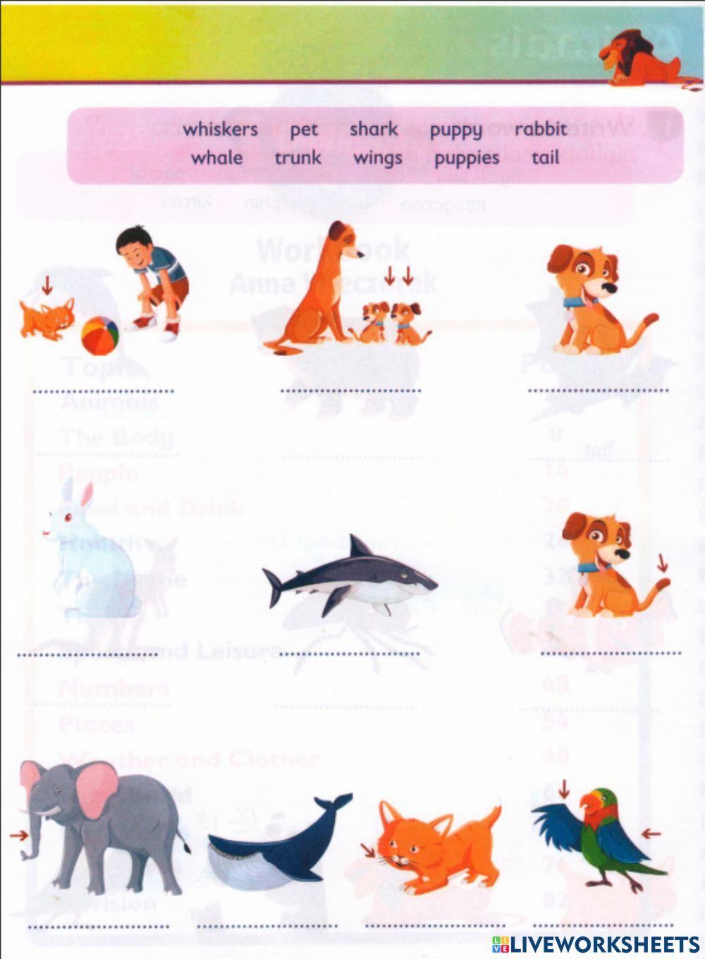 3557008 | Pets | Katherine Phung | LiveWorksheets