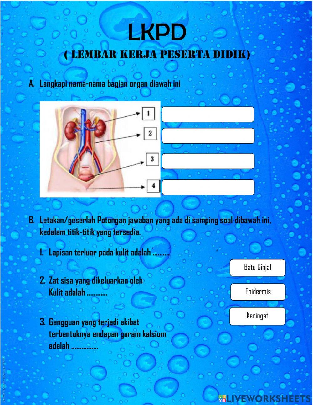 Lkpd-2 online activity | Live Worksheets