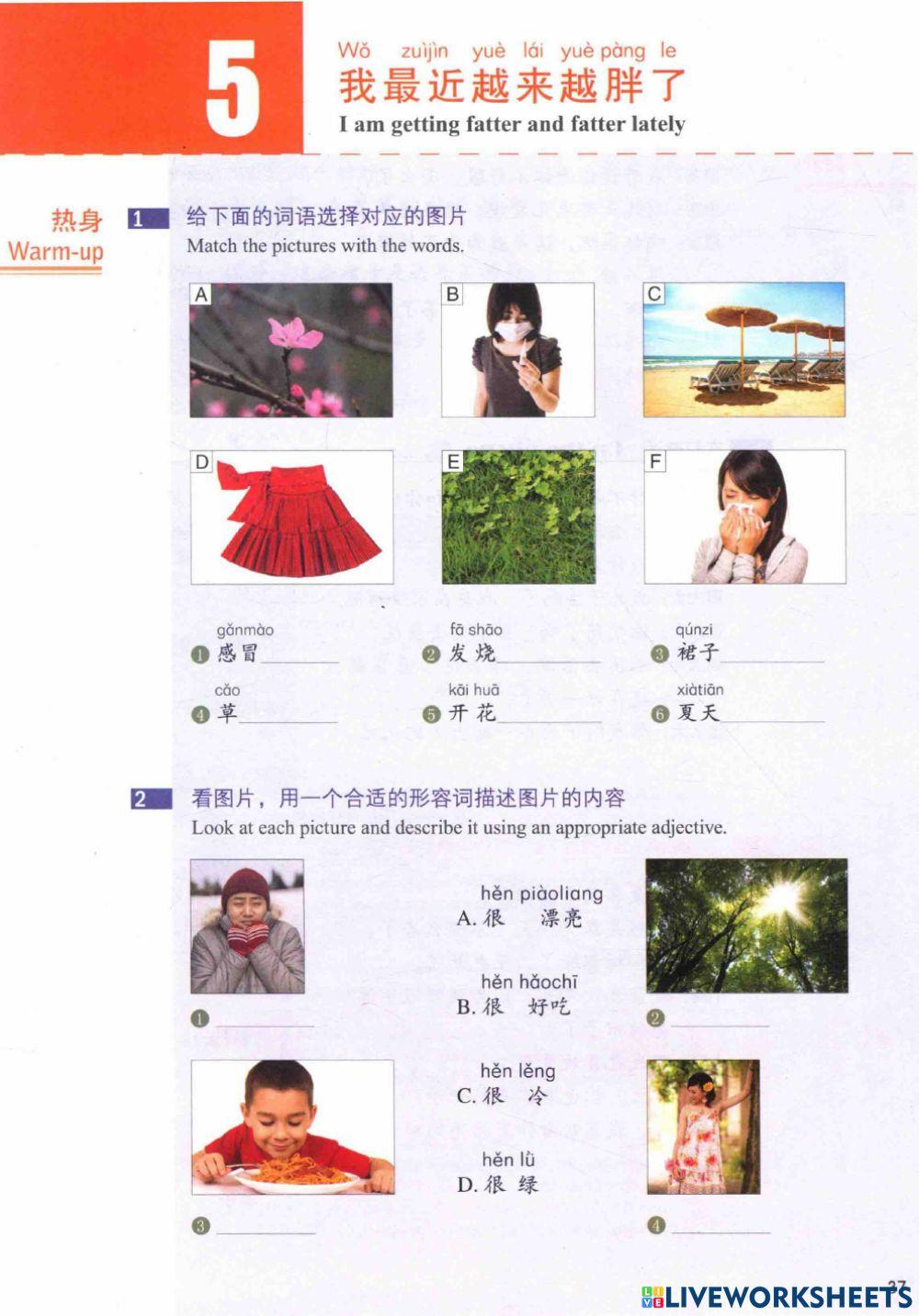 HSK Lesson 5 1906803 | campanilla01 | Live Worksheets