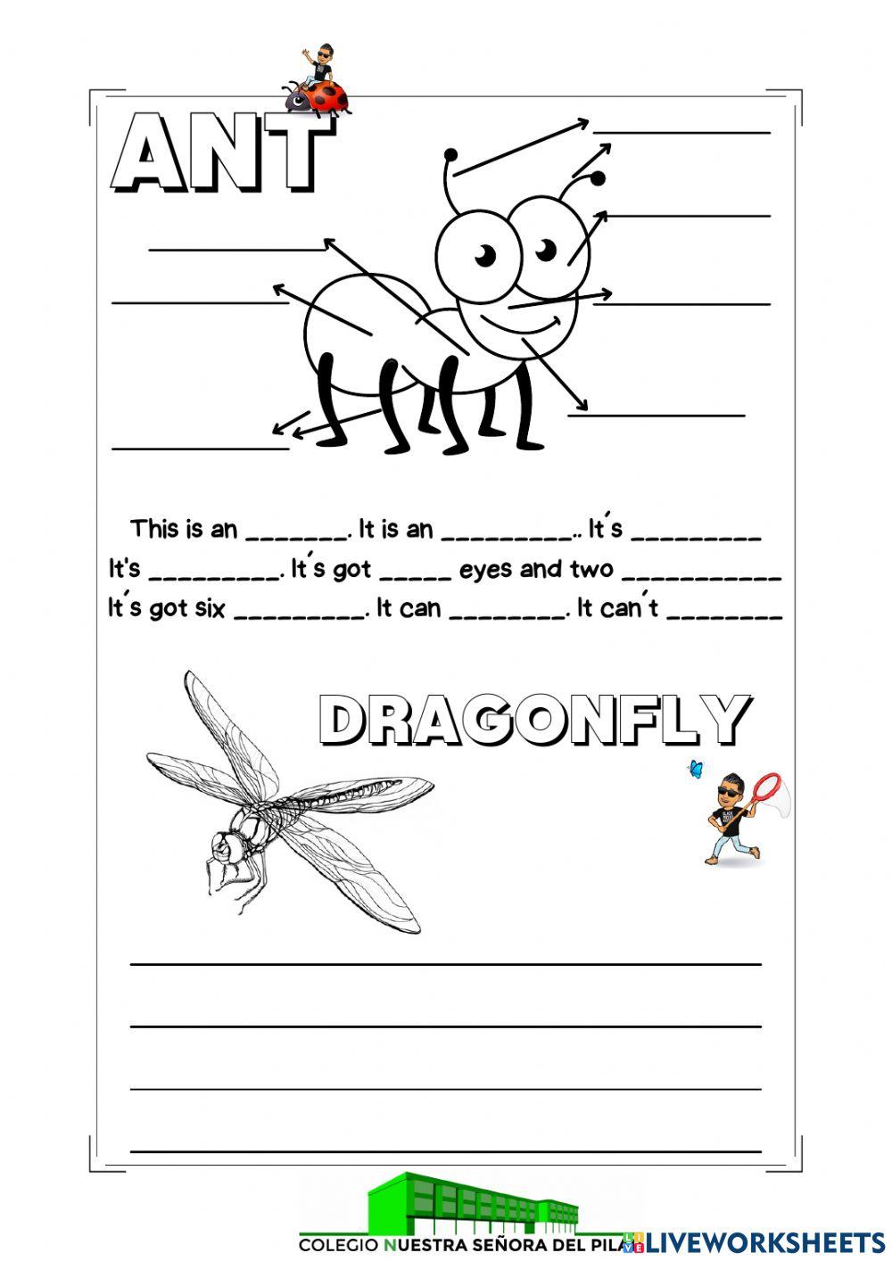 Insects | Free Interactive Worksheets | 1906871