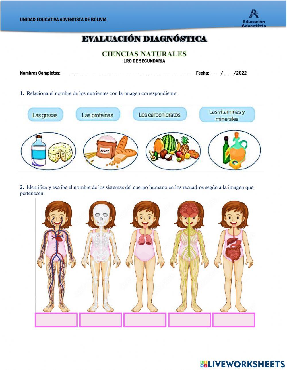 DIAGNÓSTICO. 1r… | Free Interactive Worksheets | 3540730