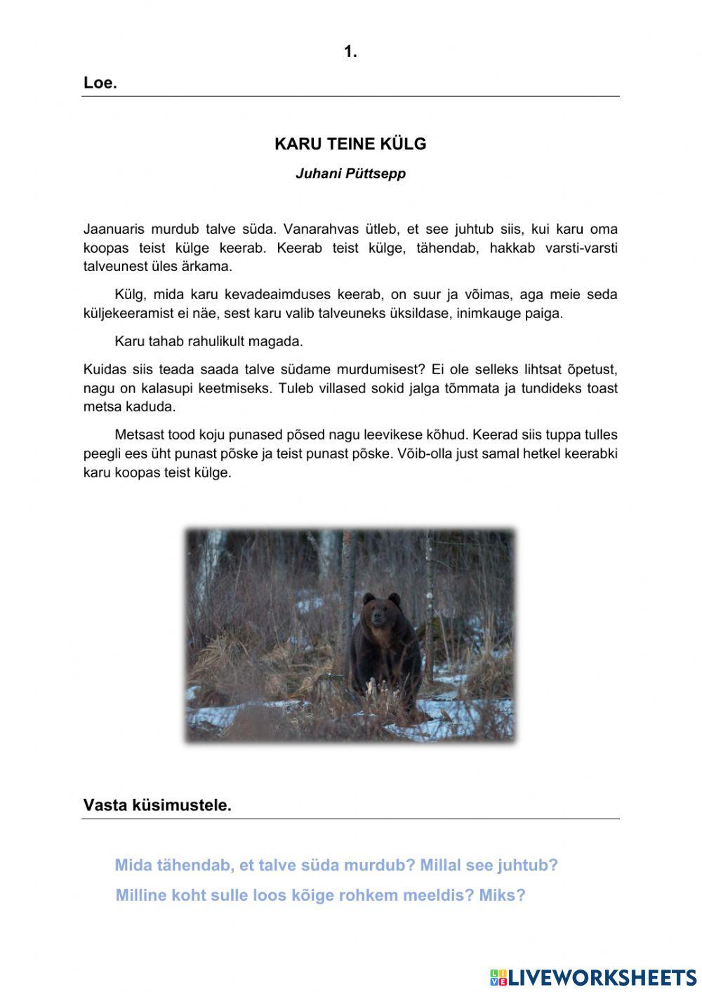 Eesti keel-LUGEMINE-2. klass online exercise for | Live Worksheets