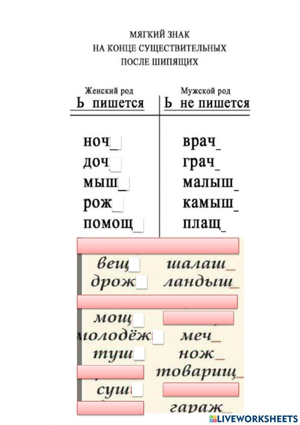 1845834 Мягкий знак после шипящих у существительных
