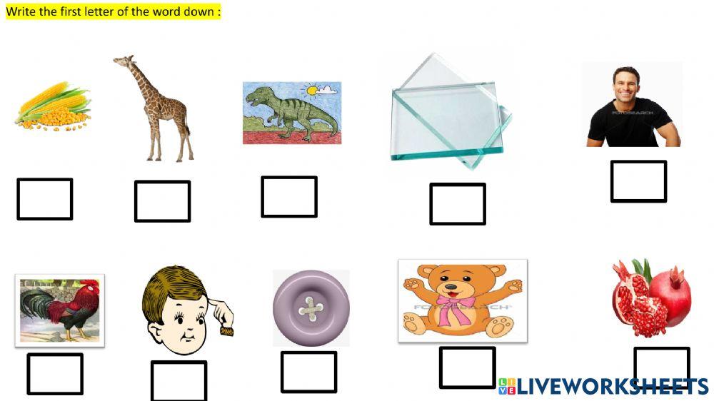 حرف د ذ ر ز Worksheet Live Worksheets