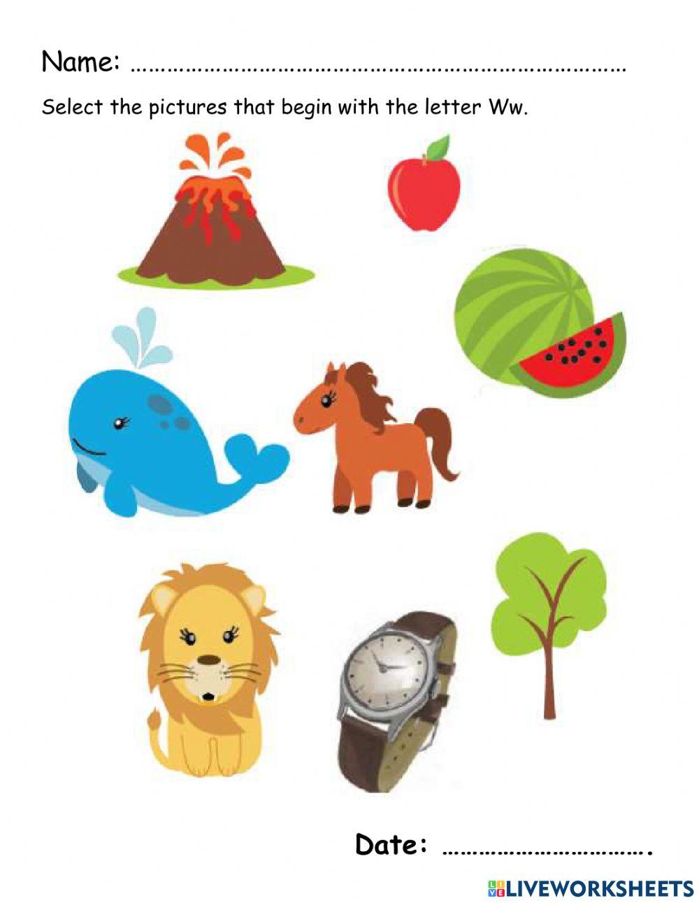 objects that start w e