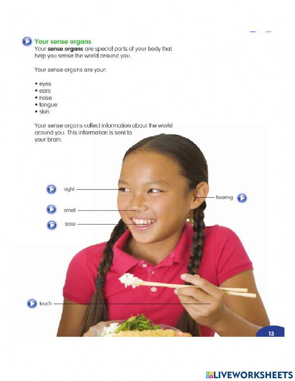 Humans body par… | Free Interactive Worksheets | 1847138