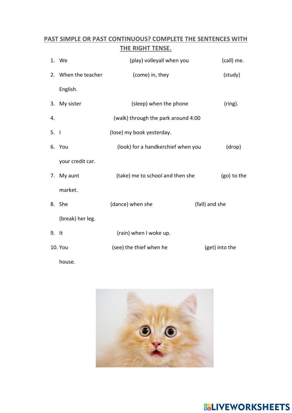 Past simple or past continuous? online worksheet | Live Worksheets