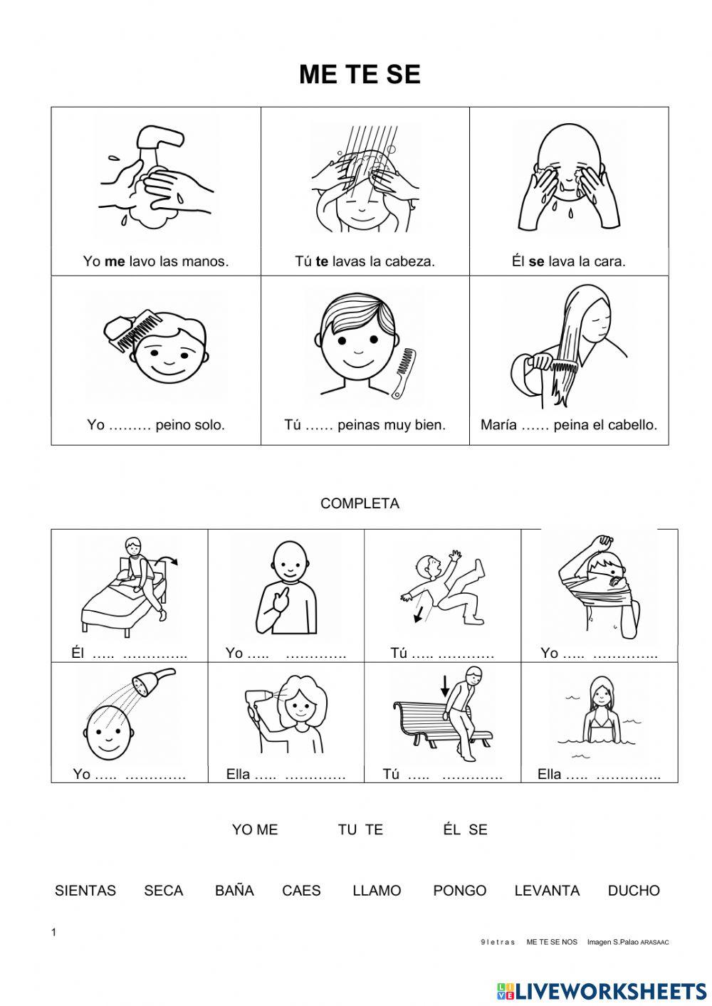 Me te se | Free Interactive Worksheets | 1847548