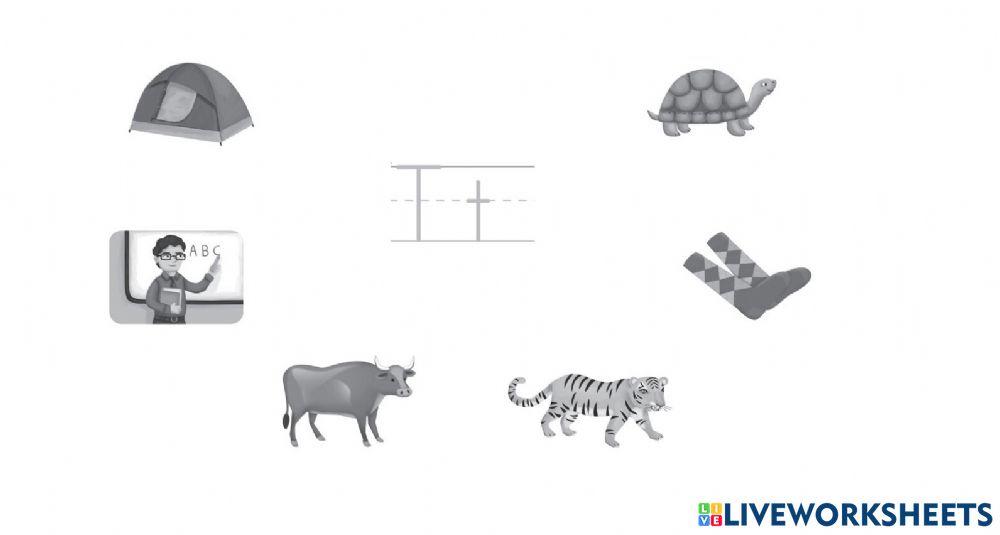 T exercise | Live Worksheets