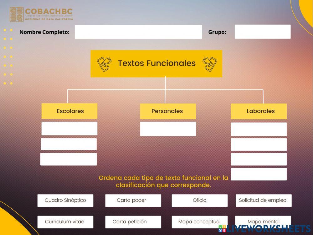 Textos Funciona… | Free Interactive Worksheets | 1849750