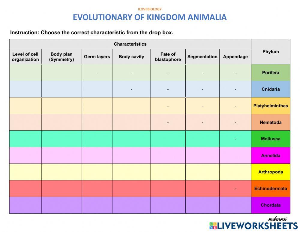 Evolutionary of Kingdom Animalia worksheet | Live Worksheets
