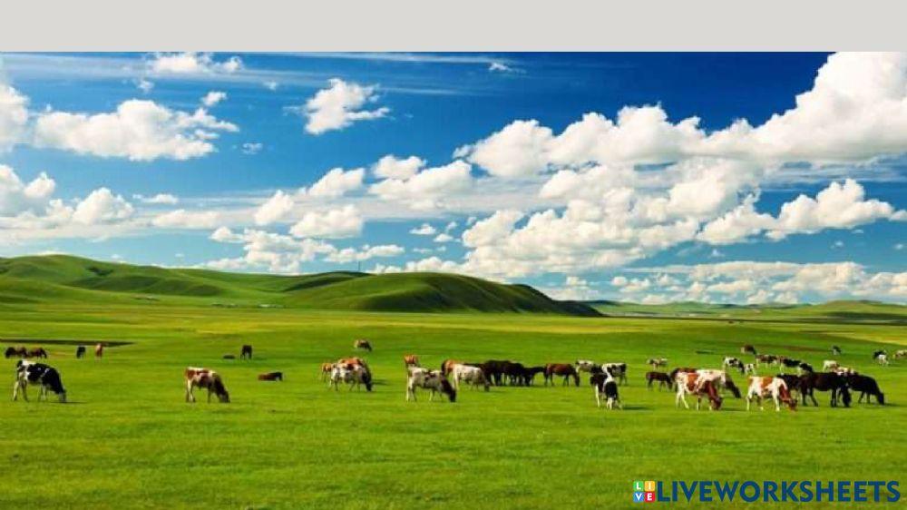 Landscapes online worksheet for 1º | Live Worksheets