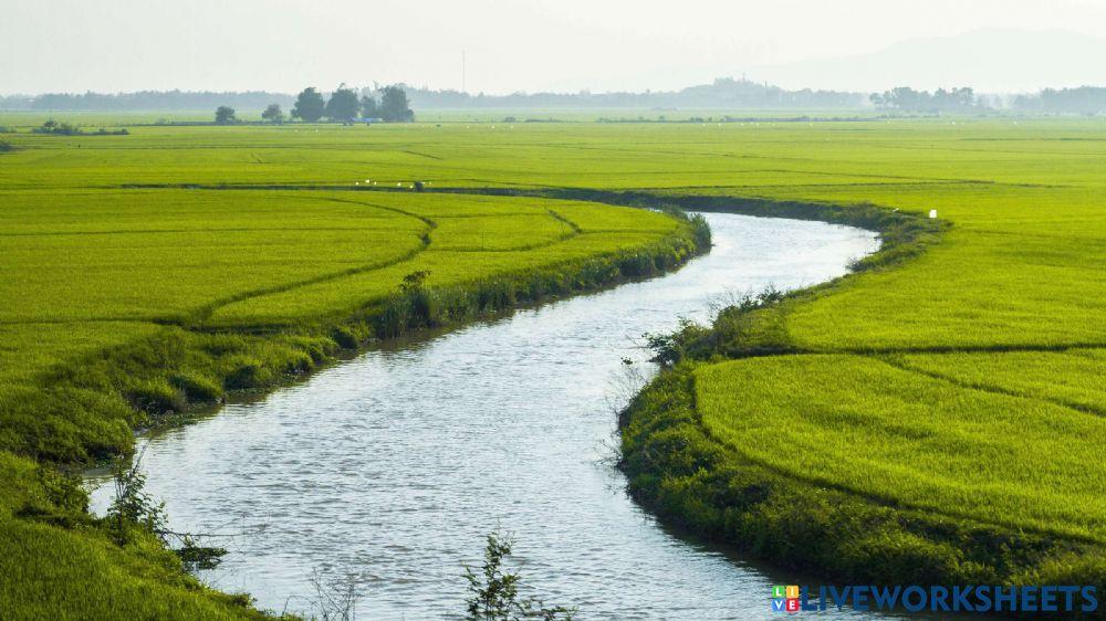 Landscapes online worksheet for 1º | Live Worksheets