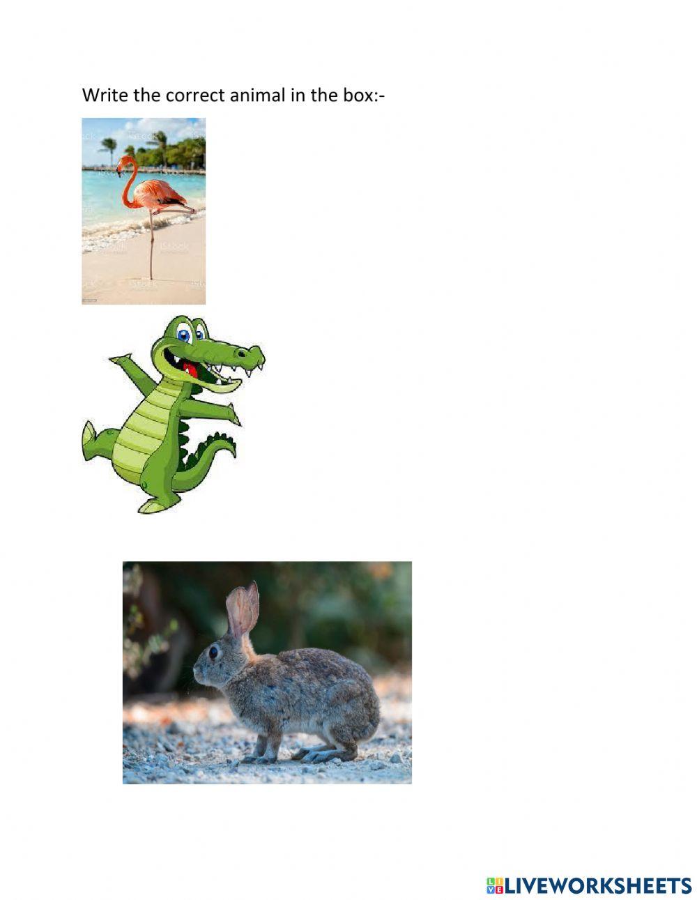 Animals online exercise for Grade 4 | Live Worksheets