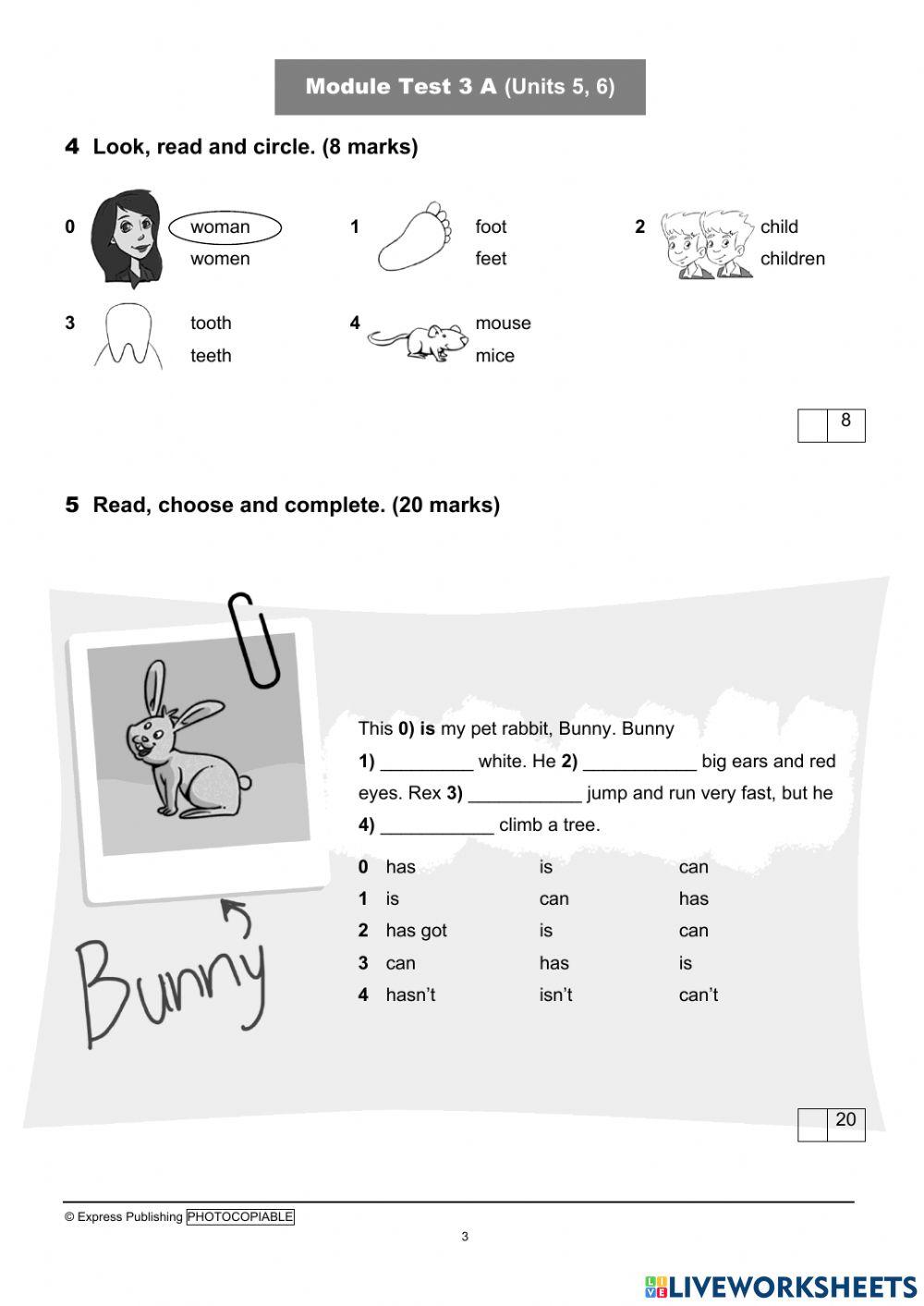 Junior 2 Module Test 3 A online exercise for | Live Worksheets