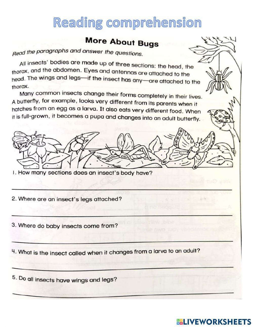 1853550 | Reading comprehension bugs | miss_micao