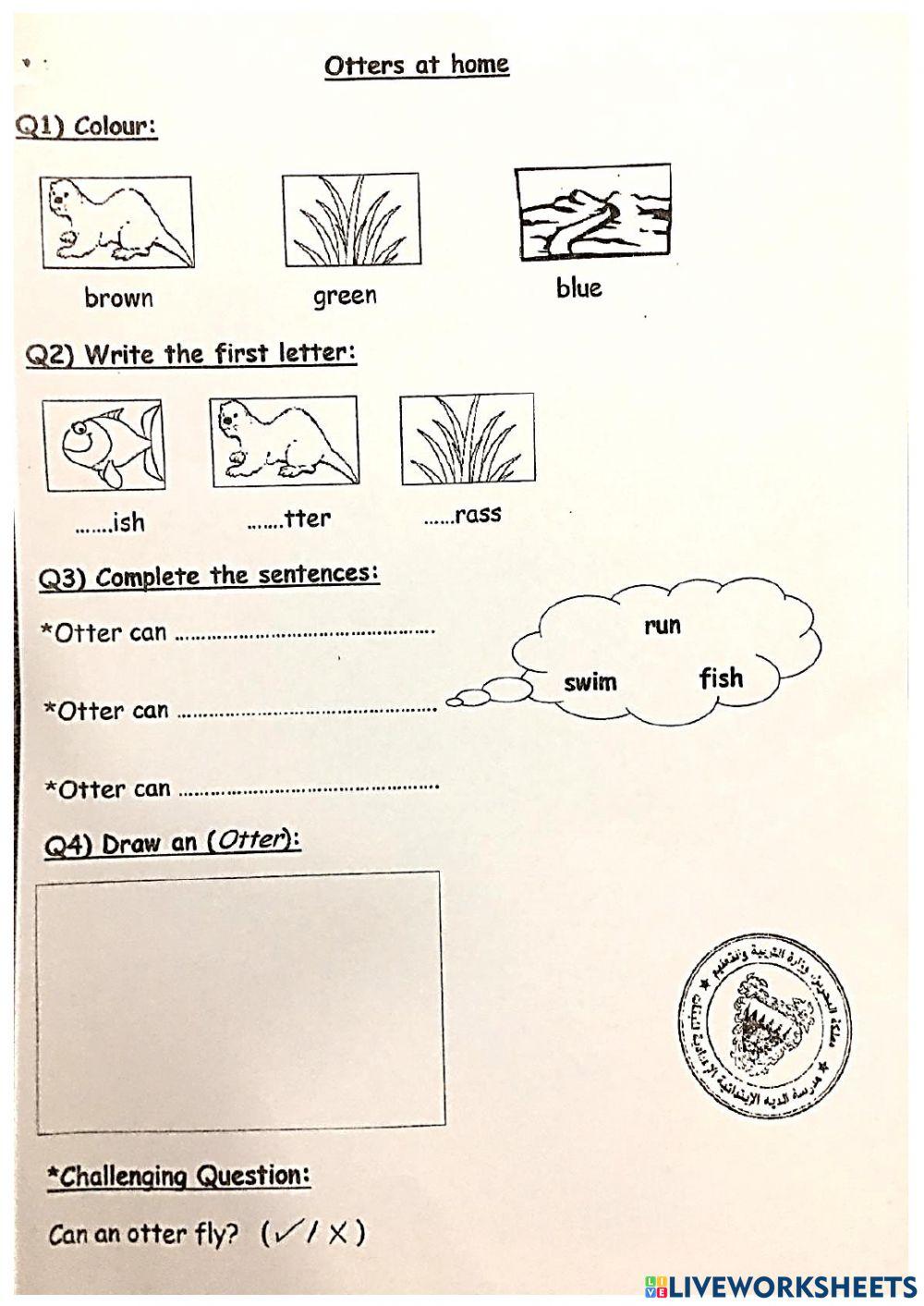 Otters at home Activity 2 worksheet | Live Worksheets