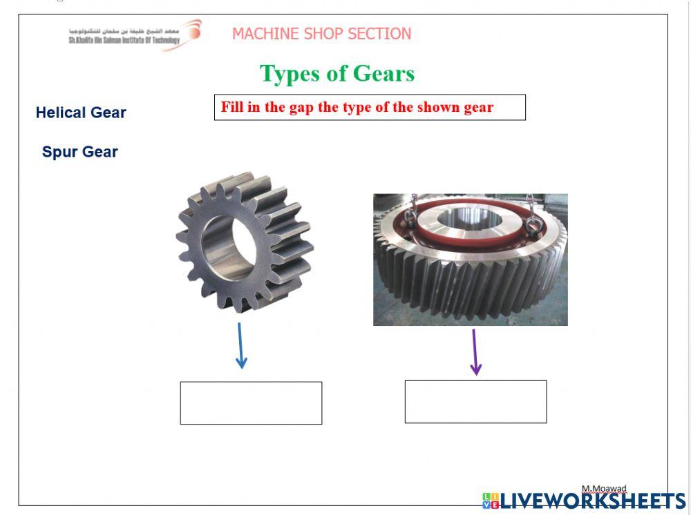 3543508 | gear | mohmoaw | LiveWorksheets