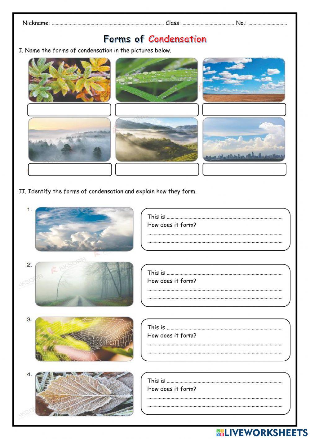 Forms of Condensation 0845 | Alan | Live Worksheets