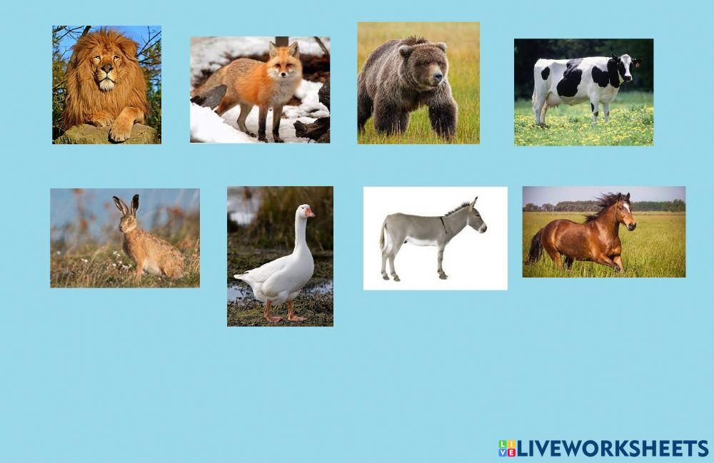 Animal descriptions interactive activity | Live Worksheets