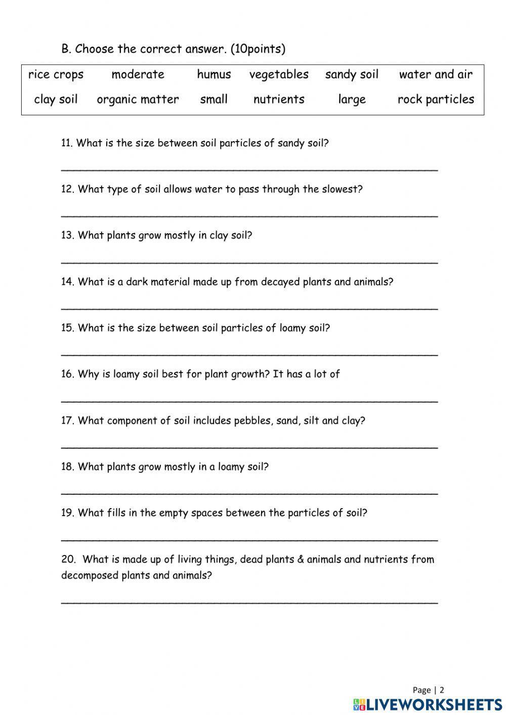 SOil online exercise for | Live Worksheets