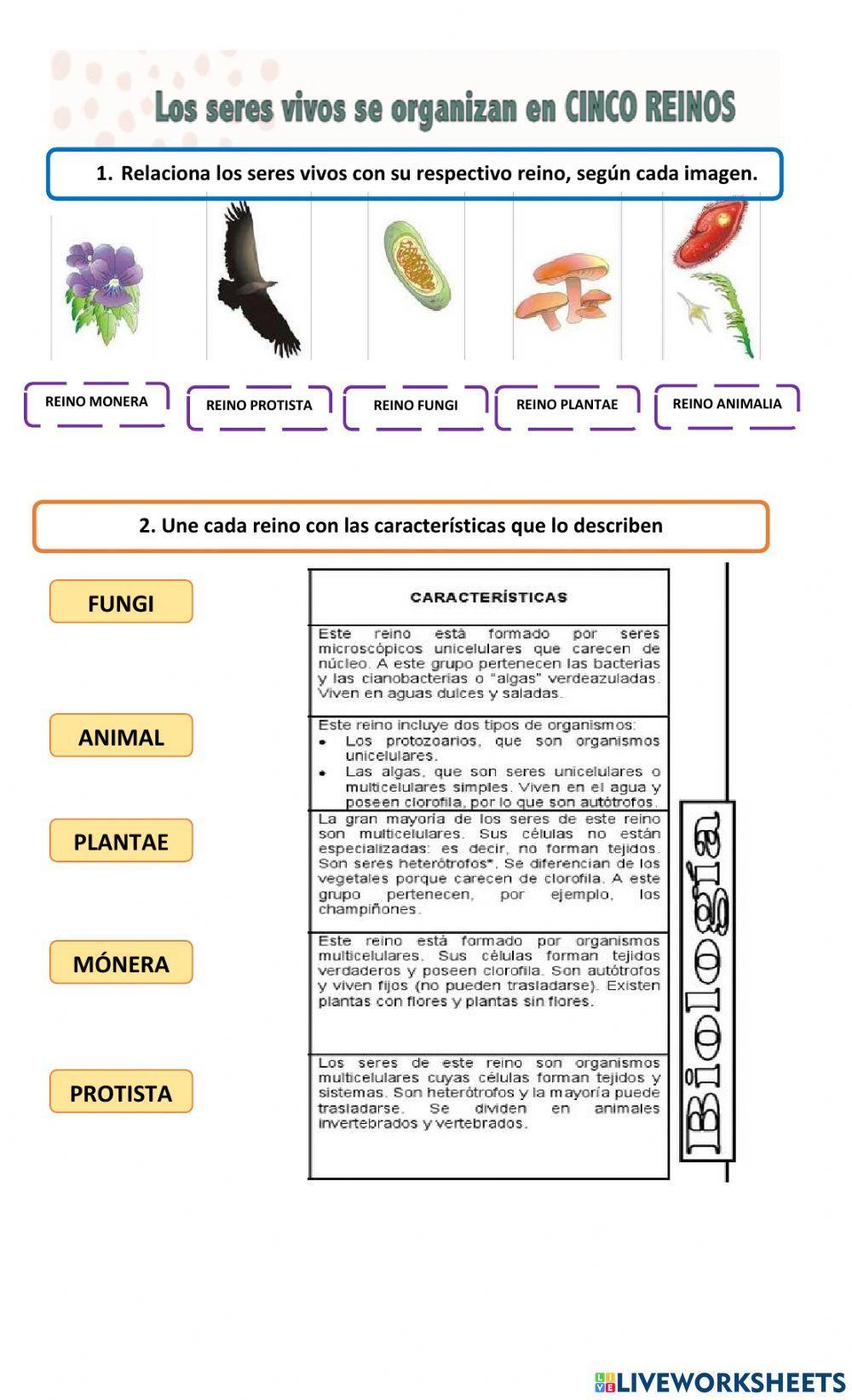 1858147 | 5 reinos | Lidy_Rmz | LiveWorksheets