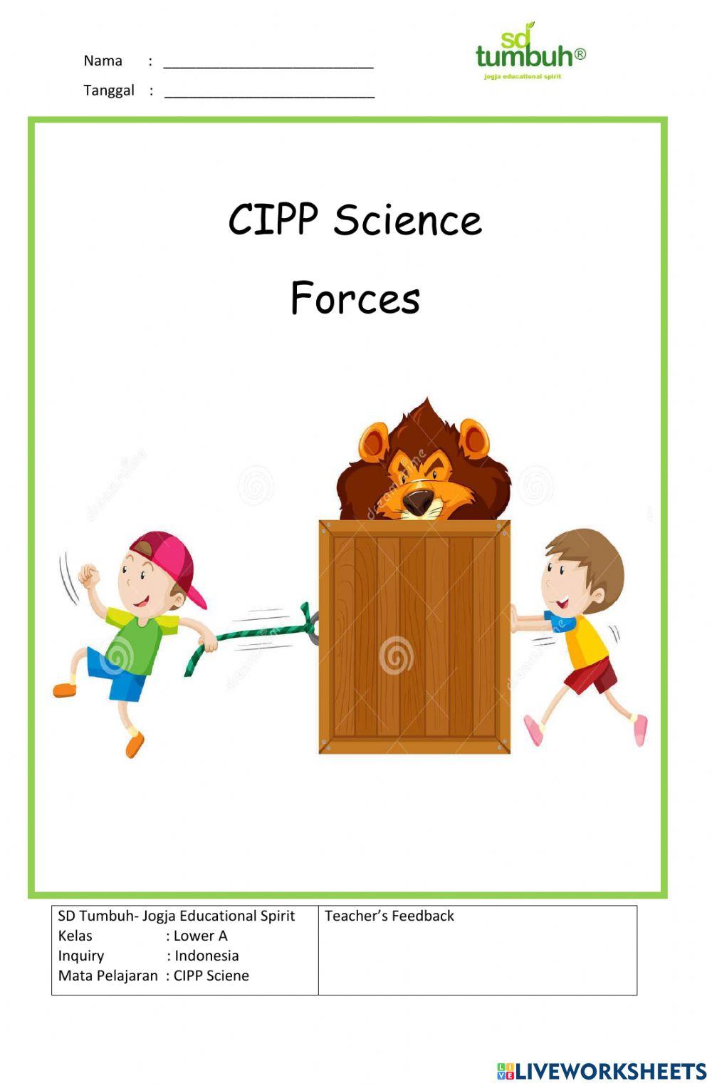 CIPP Science-Forces-Making Puzzle worksheet | Live Worksheets