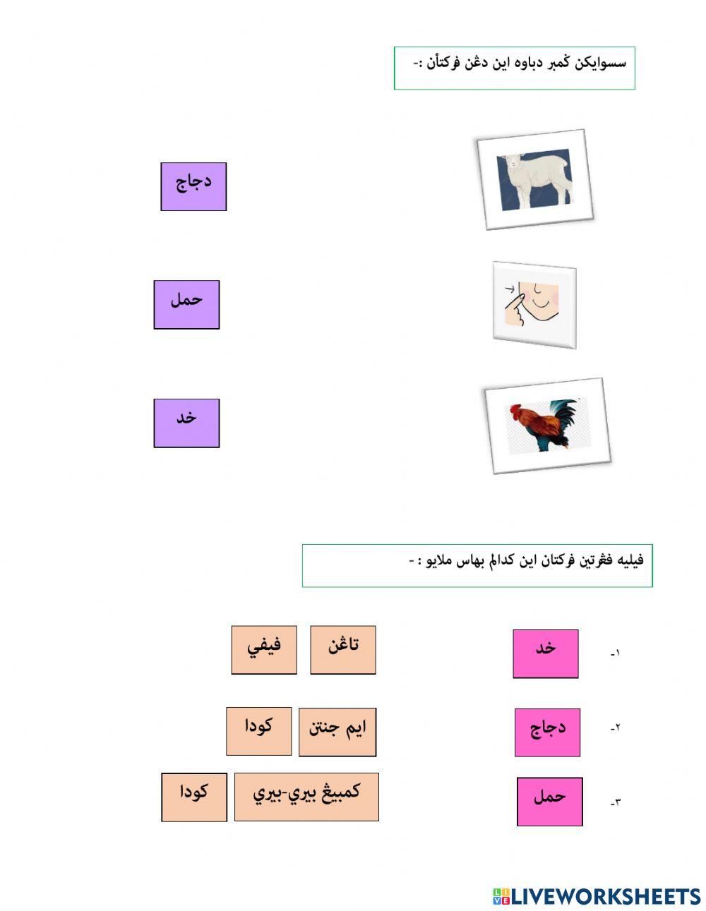 Huruf ha..kha..dal worksheet | Live Worksheets