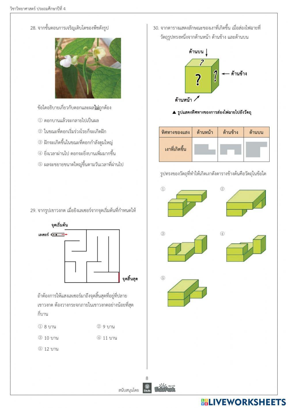 ข้อสอบ Tedet ปี… | Free Interactive Worksheets | 3544408