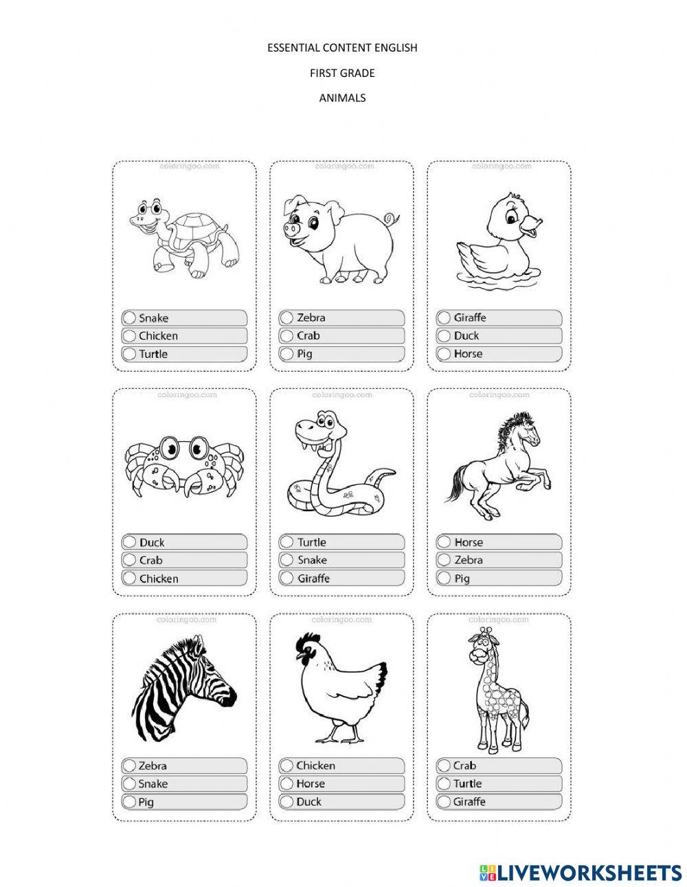 1859874 | First Grade Animal multiple choice Practice