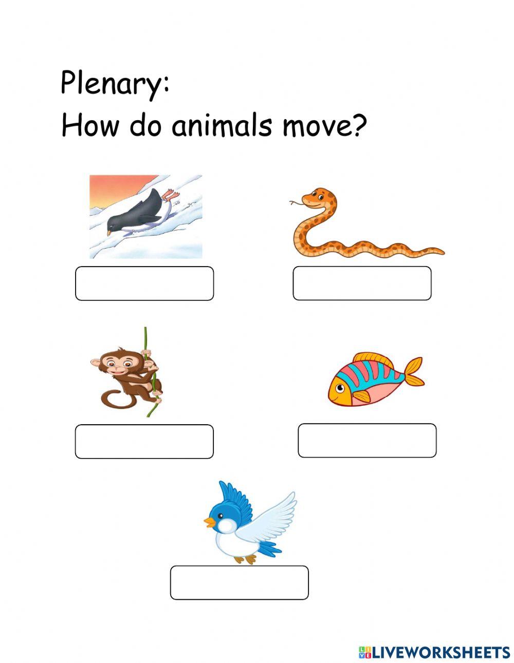 Language- Give Information Plenary worksheet | Live Worksheets