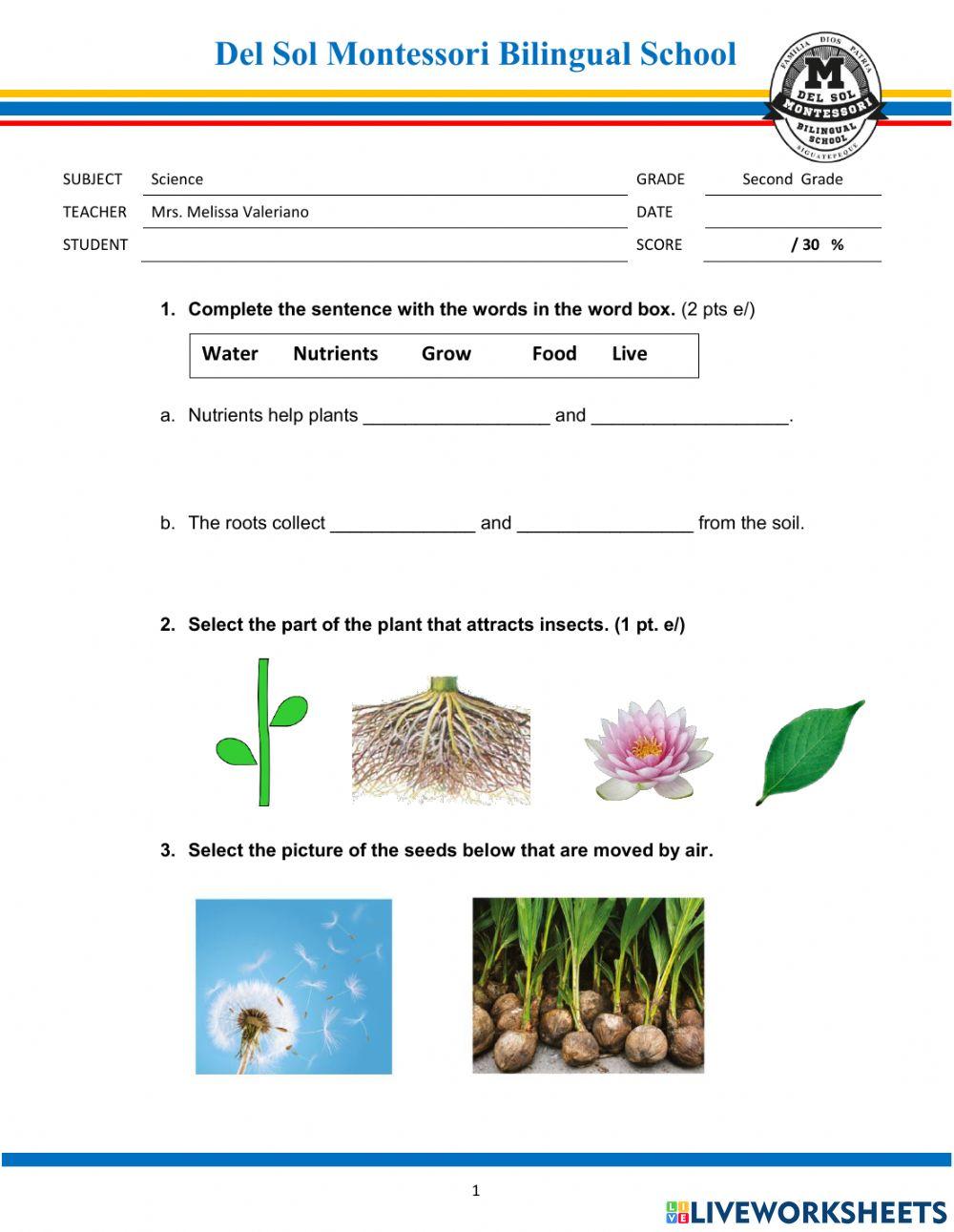 Science Exam-Segundo-Tercer Parcial 5311714 | Melissa