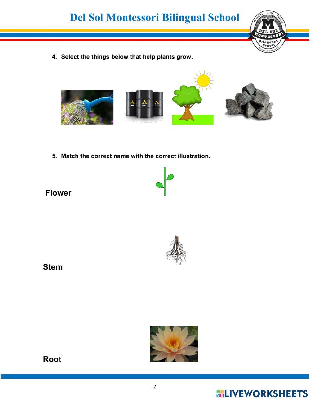 Science Exam-Segundo-Tercer Parcial 5311714 | Melissa