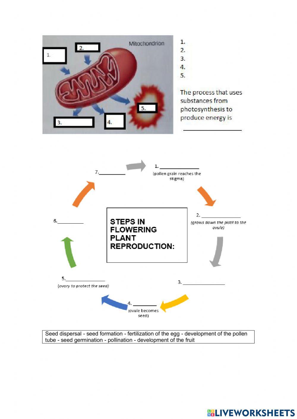 Unit 9 Biology 2778908 | sdiane675 | Live Worksheets