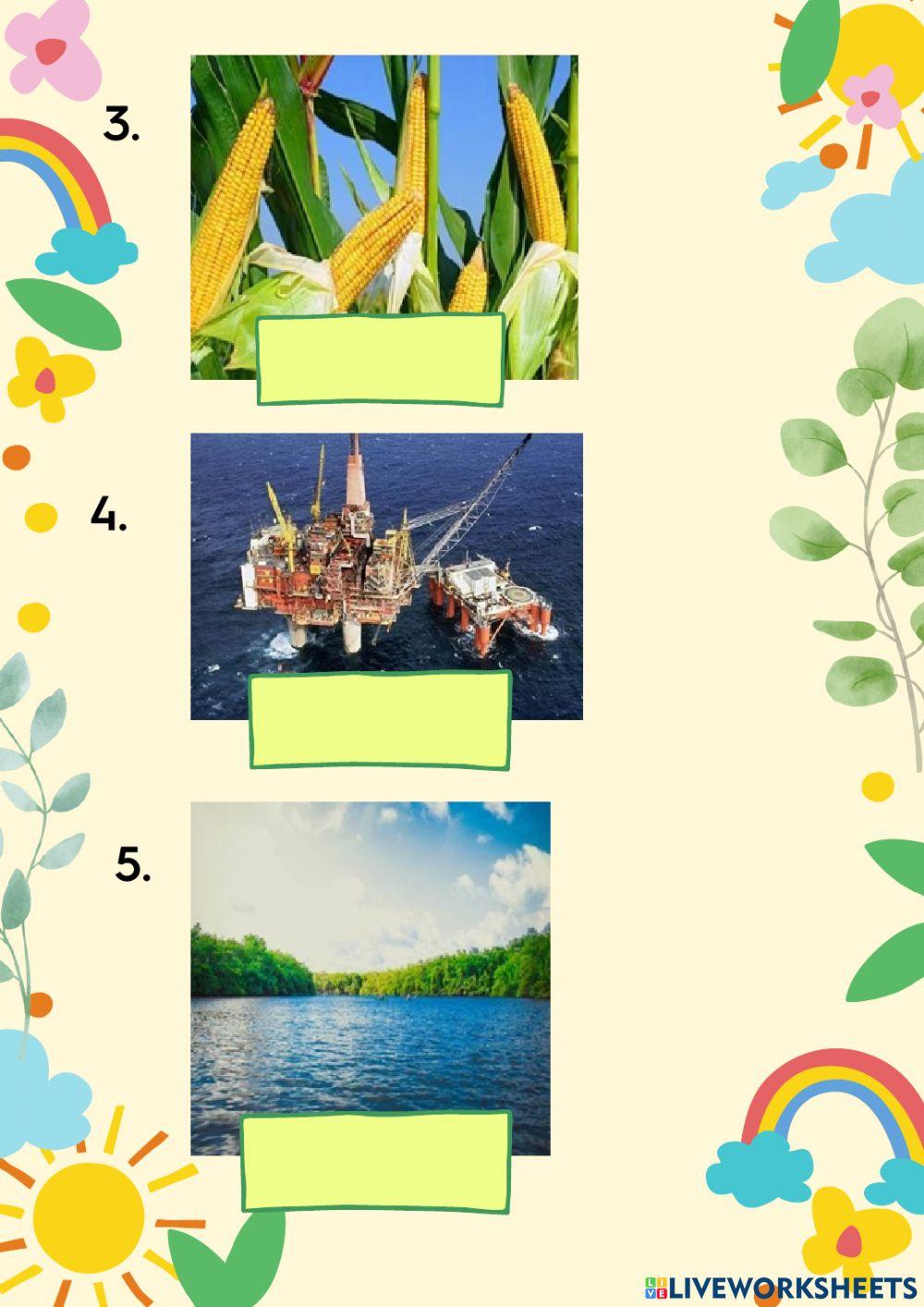 Sda worksheet for 4 | Live Worksheets