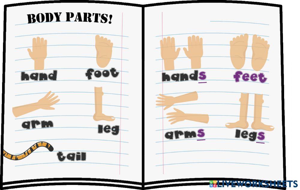 KB107 Section 2 Notebook 1 worksheet | Live Worksheets