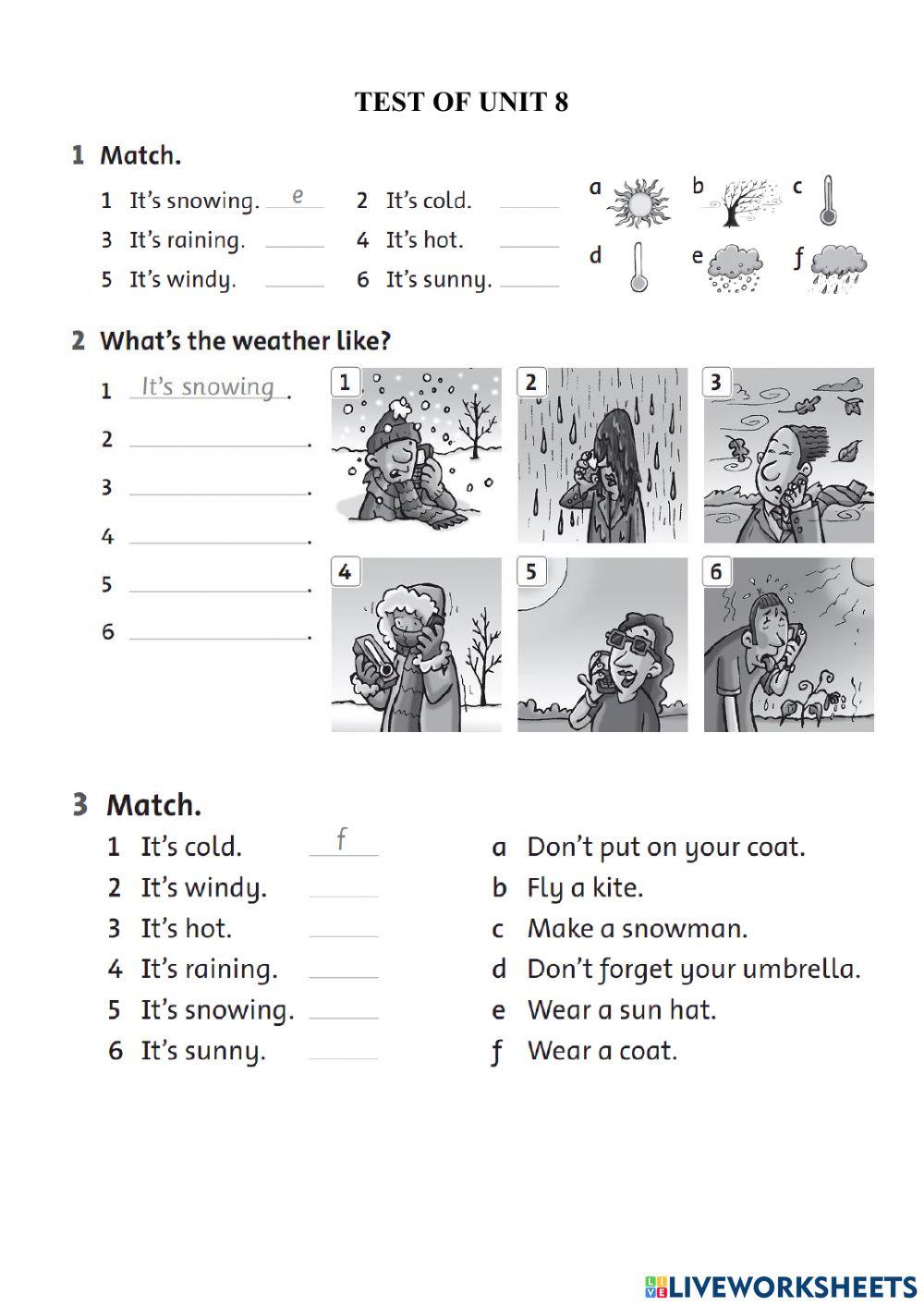 UNIT 8 TEST | Hang Nguyen | Live Worksheets