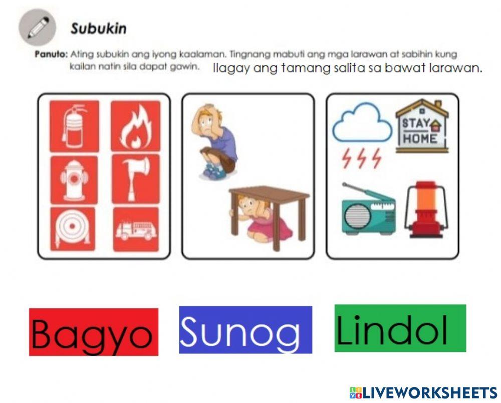 Mga sakuna 2783419 | noemihere02 | LiveWorksheets