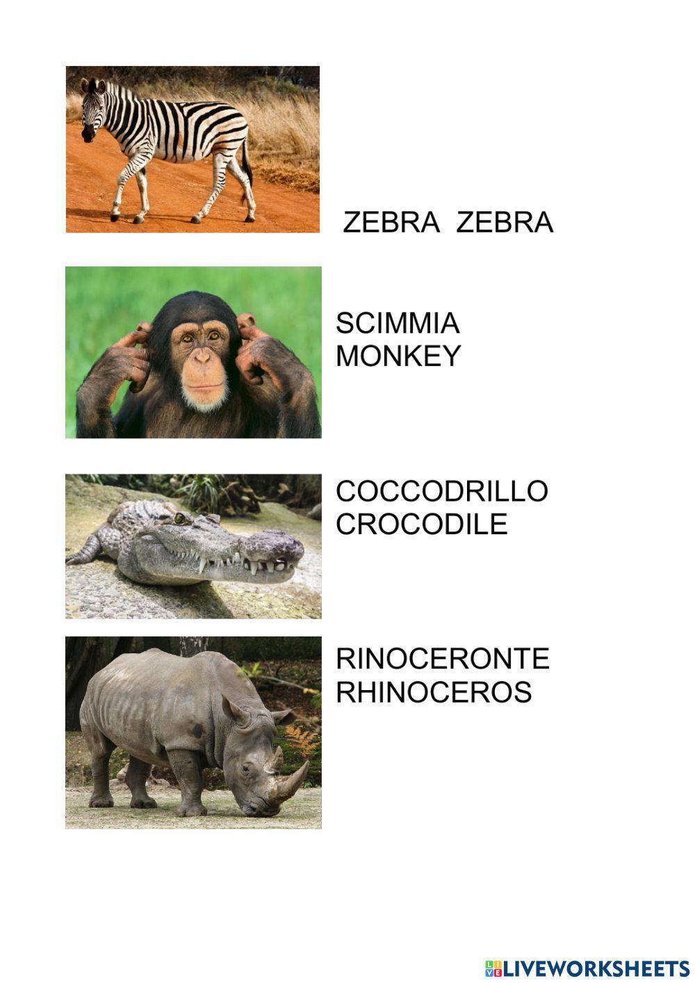 African animals | Free Interactive Worksheets | 1935872